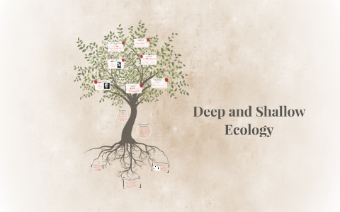 Deep and Shallow Ecology by Caitlyn Murray on Prezi