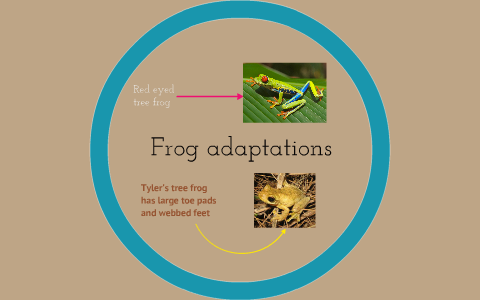 Frog Adaptation by Reyan Thong on Prezi