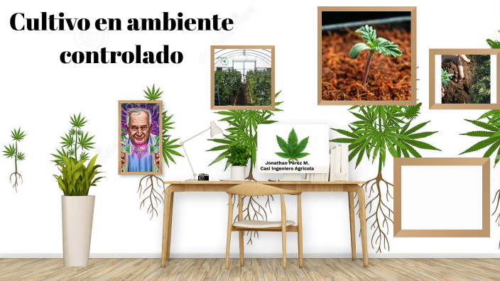 Cultivo en ambiente controlado by Jonathan Pérez Molina on Prezi