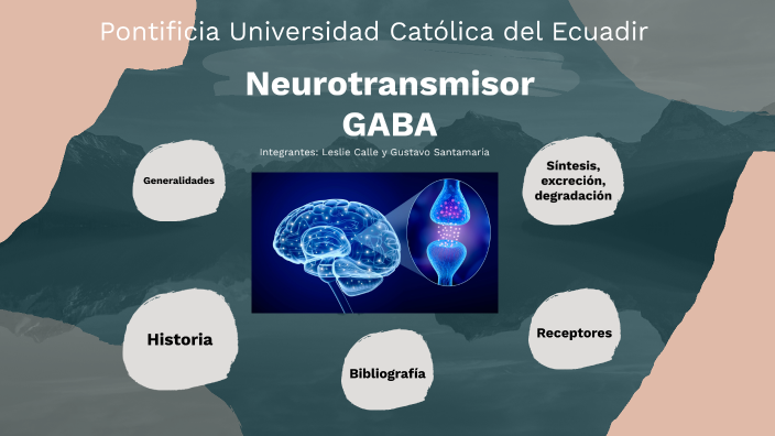 Neurotransmiso GABA by LESLIE CALLE on Prezi