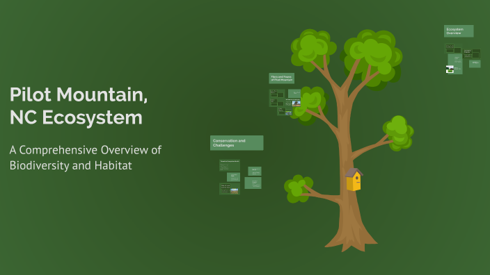 Pilot Mountain, NC Ecosystem by Jessica Simmons on Prezi