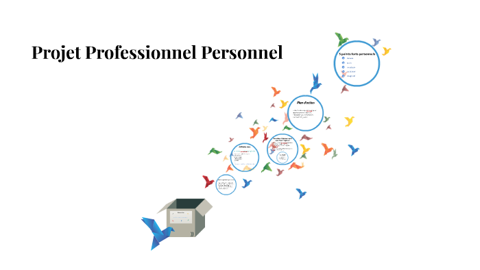 Projet Professionnel Personnel by Edouard d'Aboville on Prezi