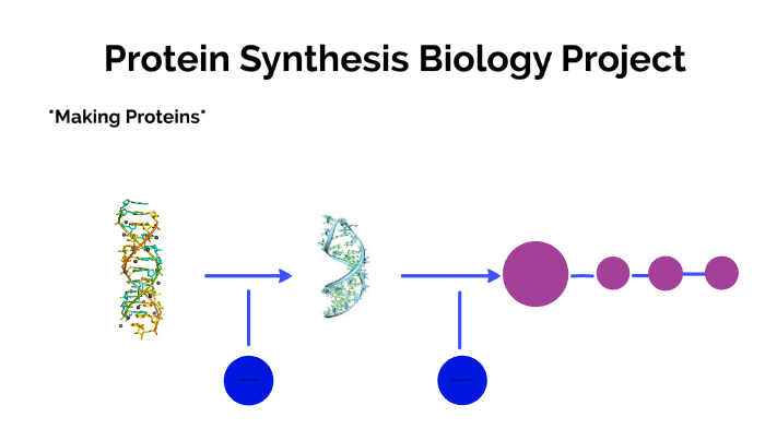 Protein Synthesis Project by Angenie Edwards on Prezi