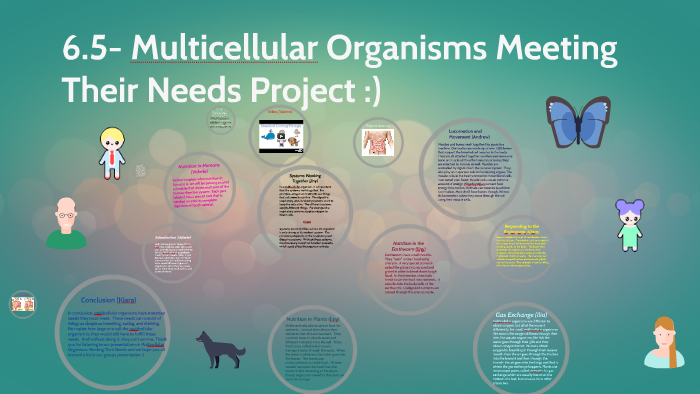 6.5- Multicellular Organisms Meeting Their Needs by val person on Prezi
