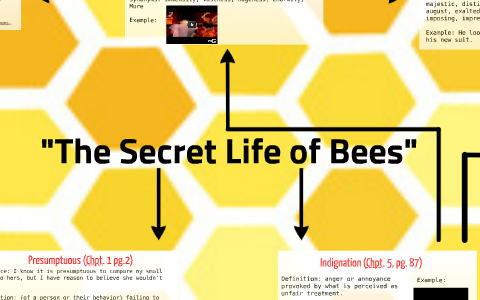 Secret Life of Bees Academic Vocabulary by Krystal VanDuysen on Prezi