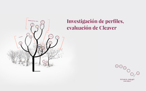 Investigación de perfiles, evaluación de Cleaver by on Prezi