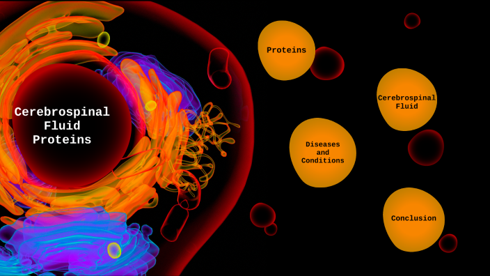 Cerebrospinal Fluid Proteins by Kaylee W on Prezi