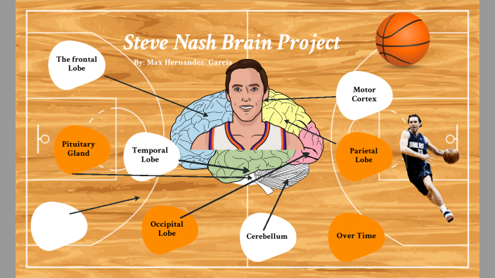 3.3 Celebrity Brain Project by Max Hernandez-Garcia on Prezi