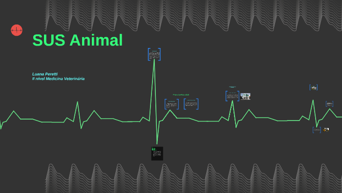 SUS Animal by Luana Peretti on Prezi