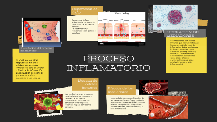PROCESO INFLAMATORIO by mario padilla on Prezi