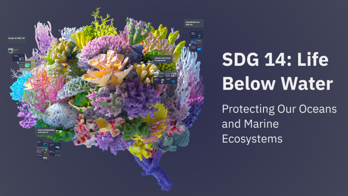 SDG 14: Life Below Water by Muhammed Buğra Ersöz on Prezi