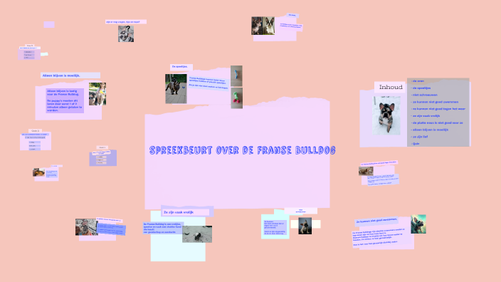Angels spreekbeurt over de Franse Bulldog by Angel Bosman on Prezi