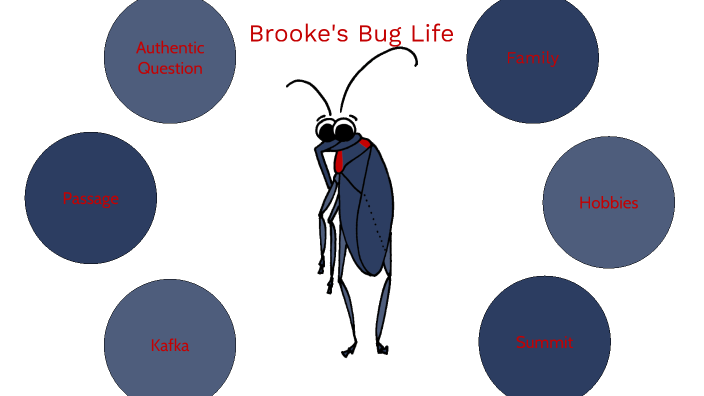 Bug Life Presentation by Brooke Shumaker on Prezi