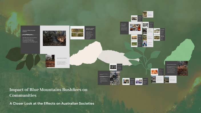 Impact of Blue Mountains Bushfires on Communities by Sebastian Gross on ...