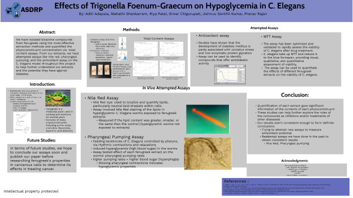 Current Symposium Poster by Shrimayi C on Prezi