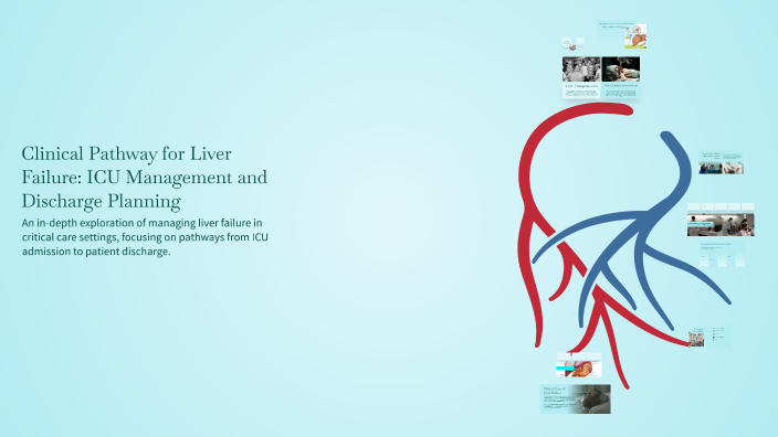 Clinical Pathway for Liver Failure: ICU Management and Discharge ...