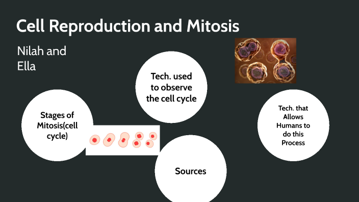 Cell Reproduction Assignment by Nilah Males on Prezi