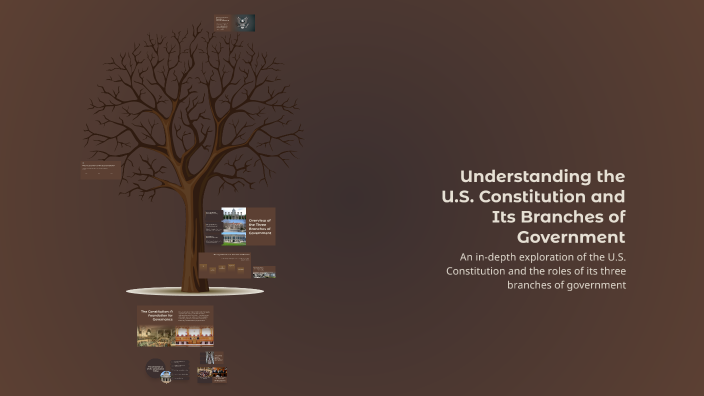 Understanding the U.S. Constitution and Its Branches of Government by ...