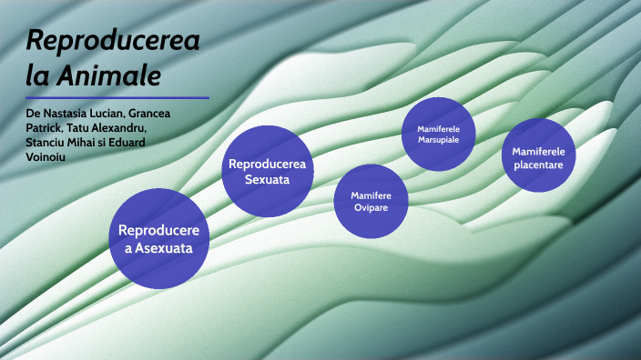 Reproducerea la Animale by Nastasia Lucian on Prezi