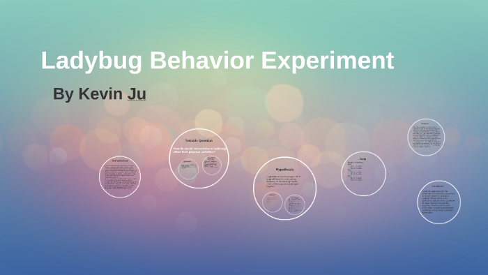 Ladybug Behavior Experiment by on Prezi