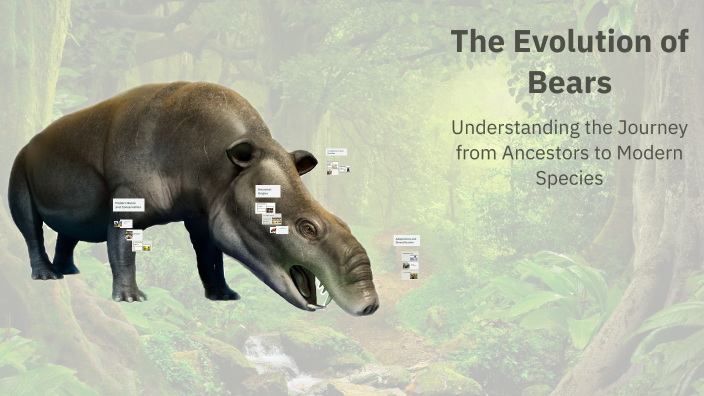 The Evolution of Bears by Charlotte Whatley on Prezi