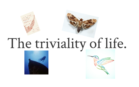Synthesis: The Triviality of Life by Sam Luers on Prezi
