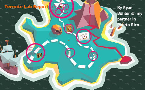 Termite Lab Report by Ryan Bohler on Prezi