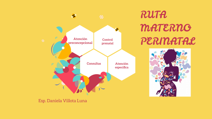Ruta materno perinatal by Daniela Villota Luna on Prezi