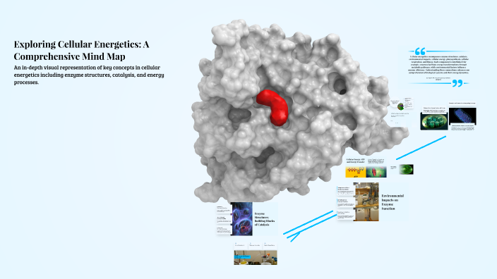 Exploring Cellular Energetics: A Comprehensive Mind Map by Eduardo ...