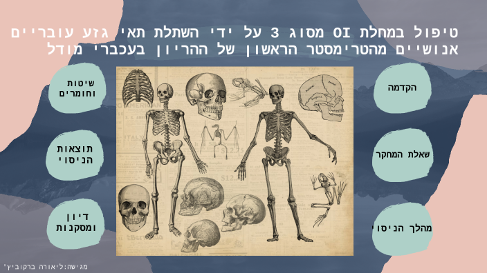 סמינר by Liora Katz on Prezi