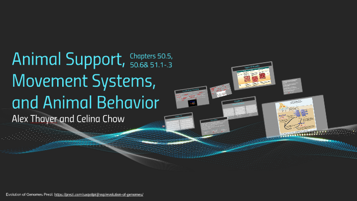 Animal Support and Movement Systems by Alex Thayer on Prezi