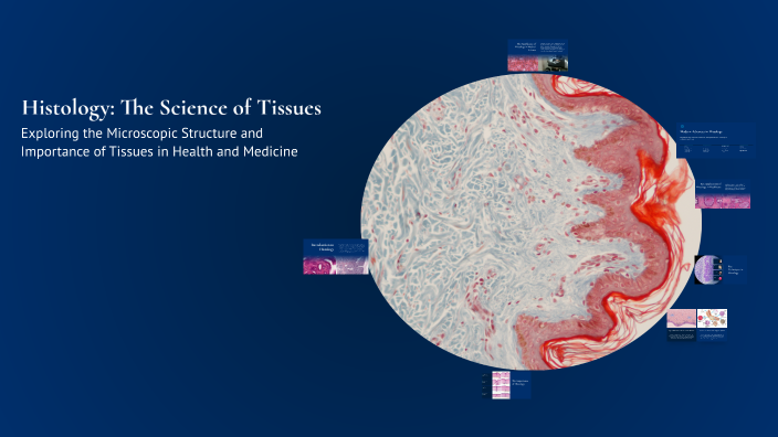 Histology: The Science of Tissues by samira mohammed on Prezi