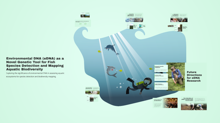 Environmental DNA (eDNA) as a Novel Genetic Tool for Fish Species ...