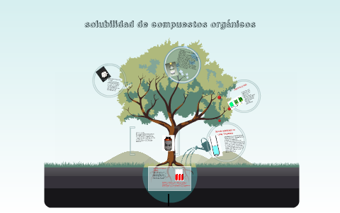 solubilidad en compuestos organicos by on Prezi