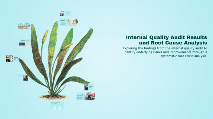 Internal Quality Audit Results and Root Cause Analysis by Ronel Dadula on Prezi