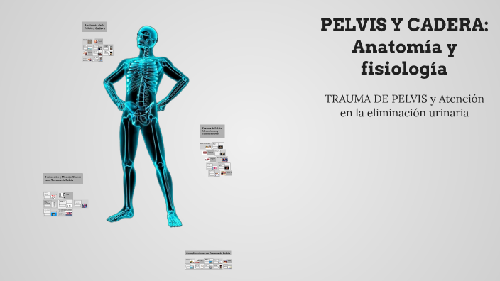PELVIS Y CADERA: Anatomía y fisiología by SAMIR ANDREY JIMENEZ PINILLA ...