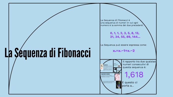 La Sequenza di FIbonacci Anatomia by 3rcrce Vetrvtrv on Prezi La Sequenza di FIbonacci Anatomia by 3rcrce Vetrvtrv on Prezi