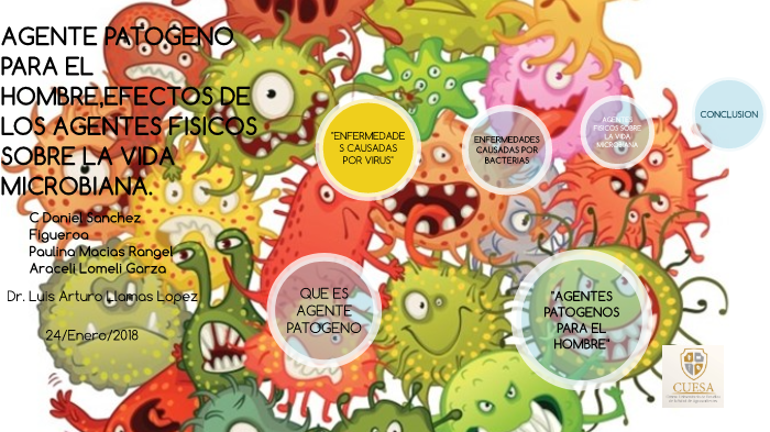Agentes patogenos para el hombre by Daniel Sanchez on Prezi