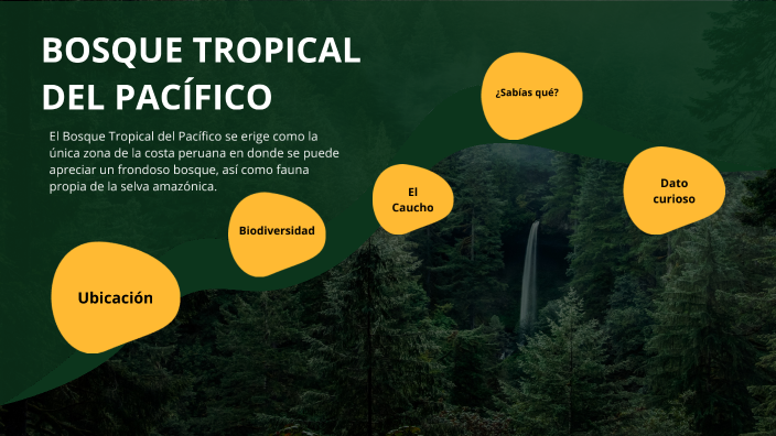 Bosque Tropical del Pacífico by Barbara Molina on Prezi