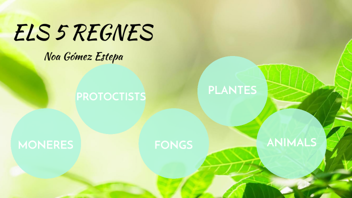 ELS 5 REGNES by Noa Gómez on Prezi
