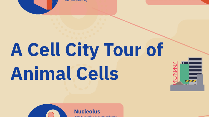 Animal Cell Presentation by Abigail Royle on Prezi