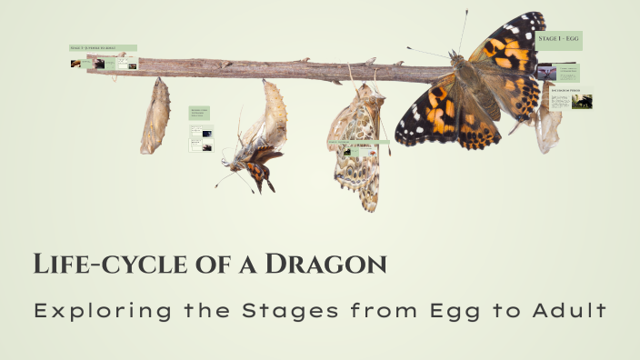 Life-cycle of a Dragon by Ksenia Protsenko on Prezi