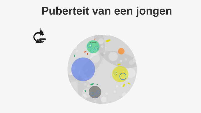 Puberteit van een jongen by Koosje Banaantje on Prezi