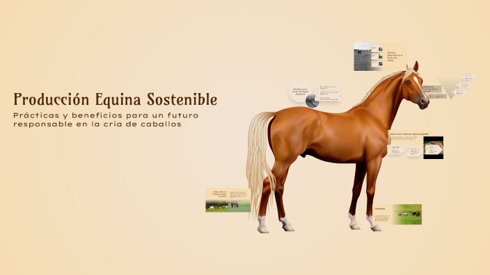 Producción Equina Sostenible by Karla Herrera Armás on Prezi