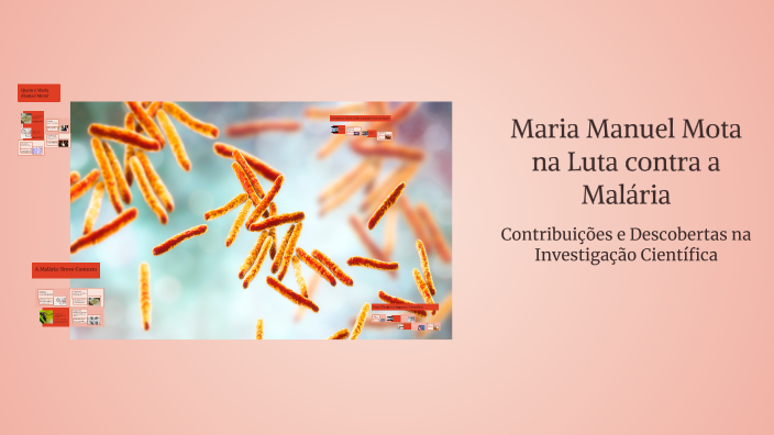 Maria Manuel Mota na Luta contra a Malária by Helena Castro on Prezi