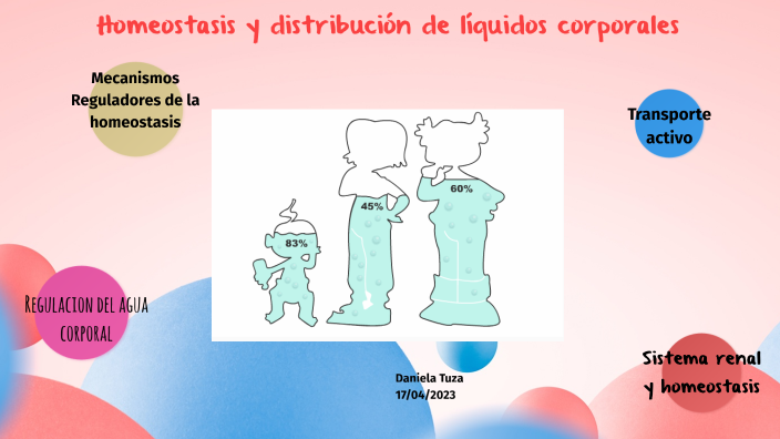 Homeostasis y distribución de líquidos corporales by Daniela Tuza on Prezi