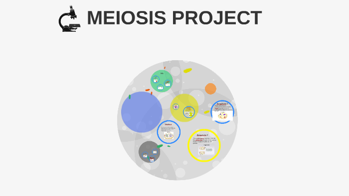 MEIOSIS PROJECT by damion stephenson on Prezi