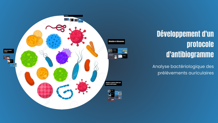 Développement d'un protocole d'antibiogramme by takwa saadi on Prezi