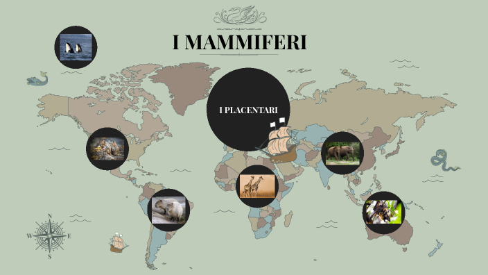 I Placentati by gabriele ranieri on Prezi