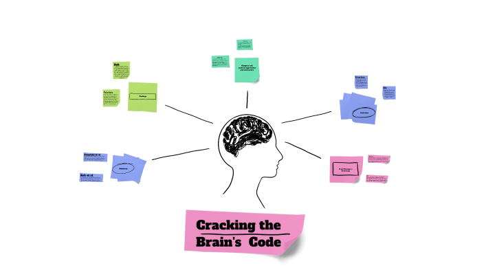 cracking the brain's code by Grace Peterson on Prezi